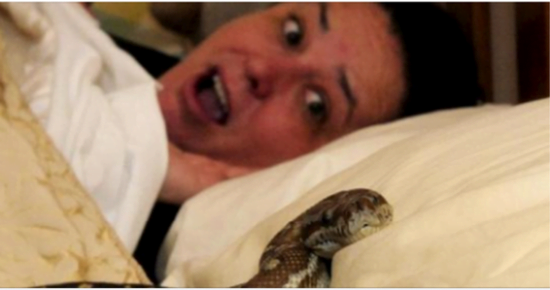 Every night, this woman slept next to her pet snake, but suddenly ...