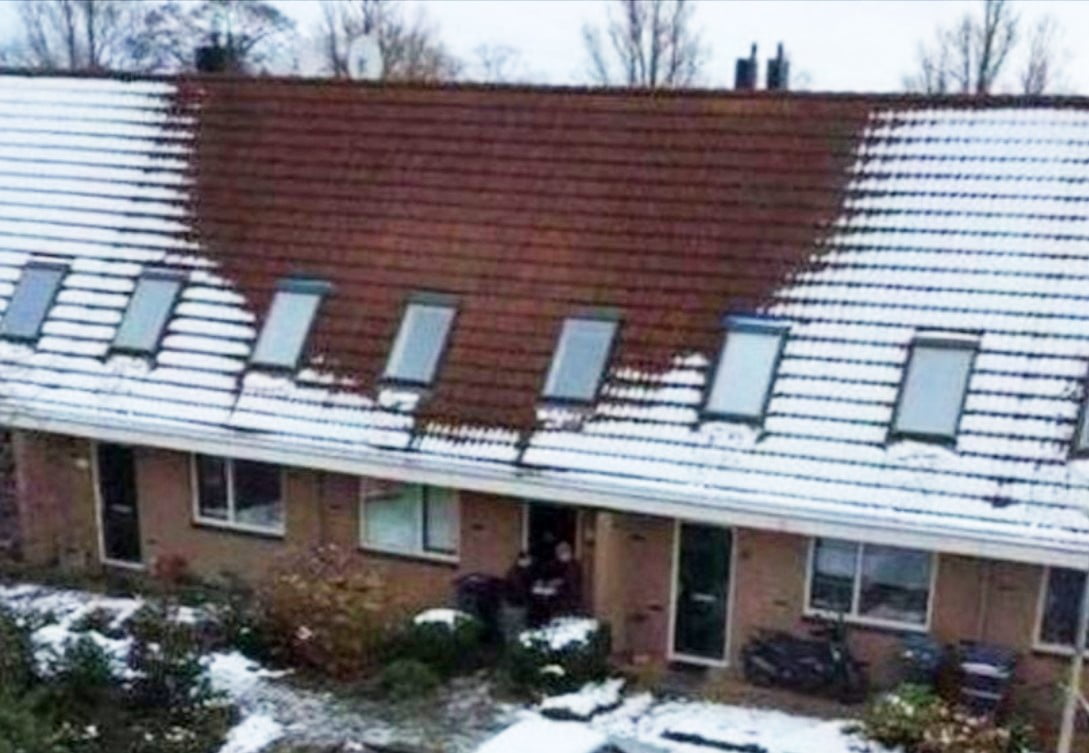 Several people from a small town in the Netherlands called the police ...